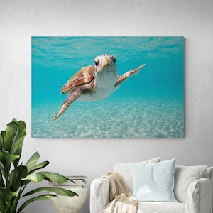 Green Sea Turtle Portrait Underwater Photograph Fine Art Wall Art Print ...