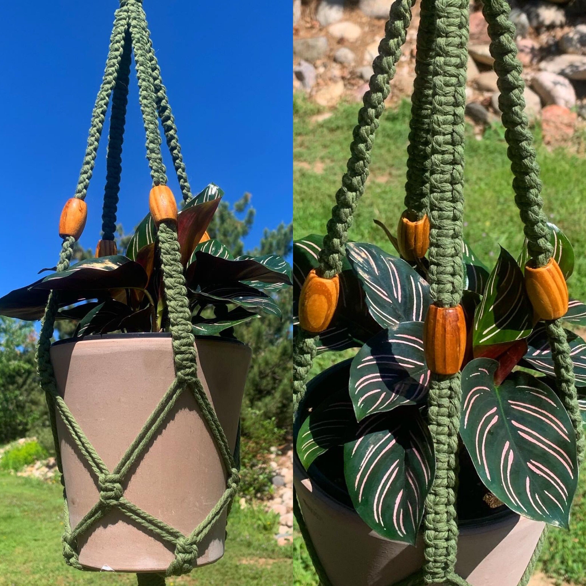 Forest Green Simple Knot Plant Pot Hanger - Etsy