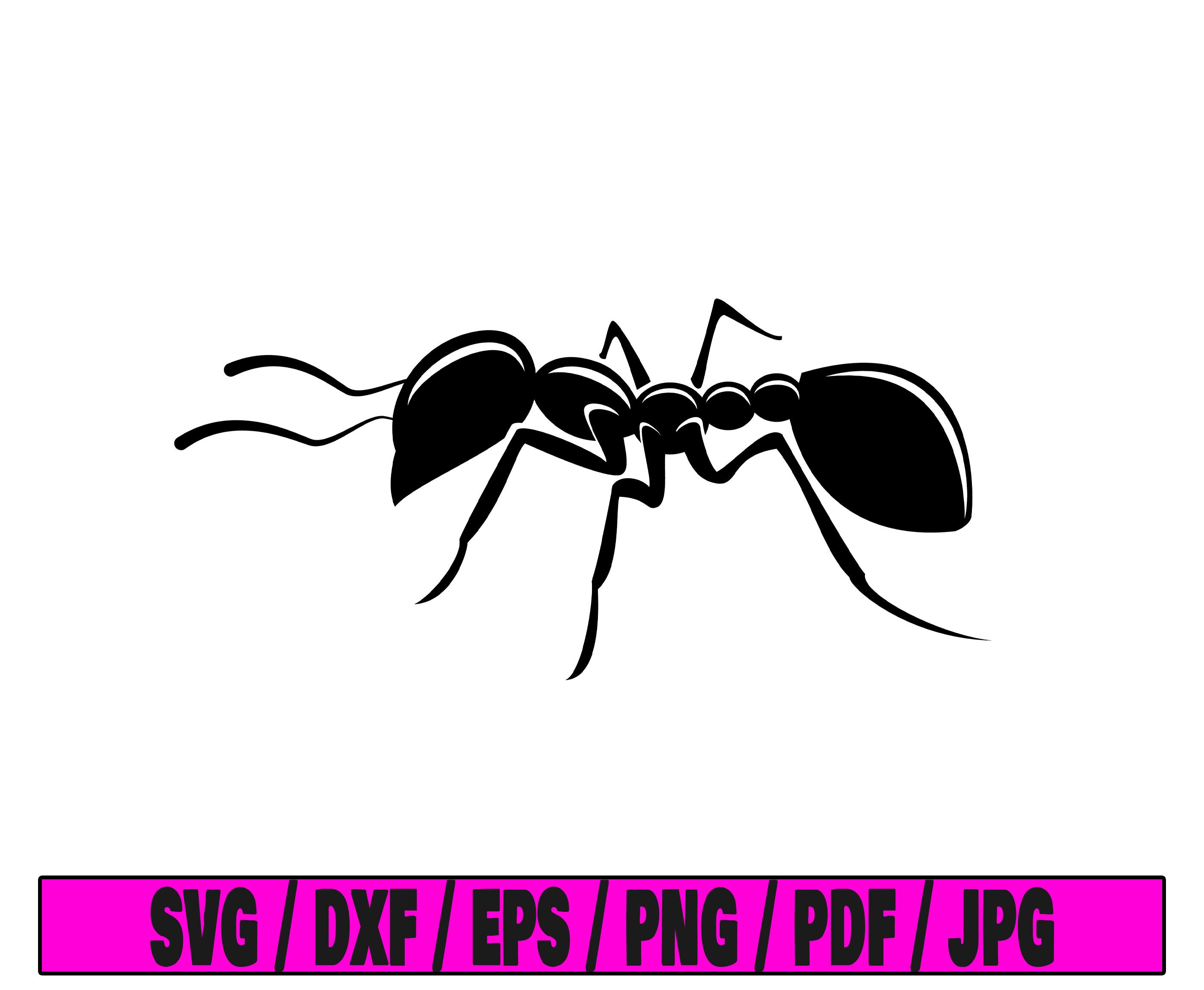 Ant Svg, Insect Svg, Animal Svg, Ant Silhouette Svg, Svg Cut File ...