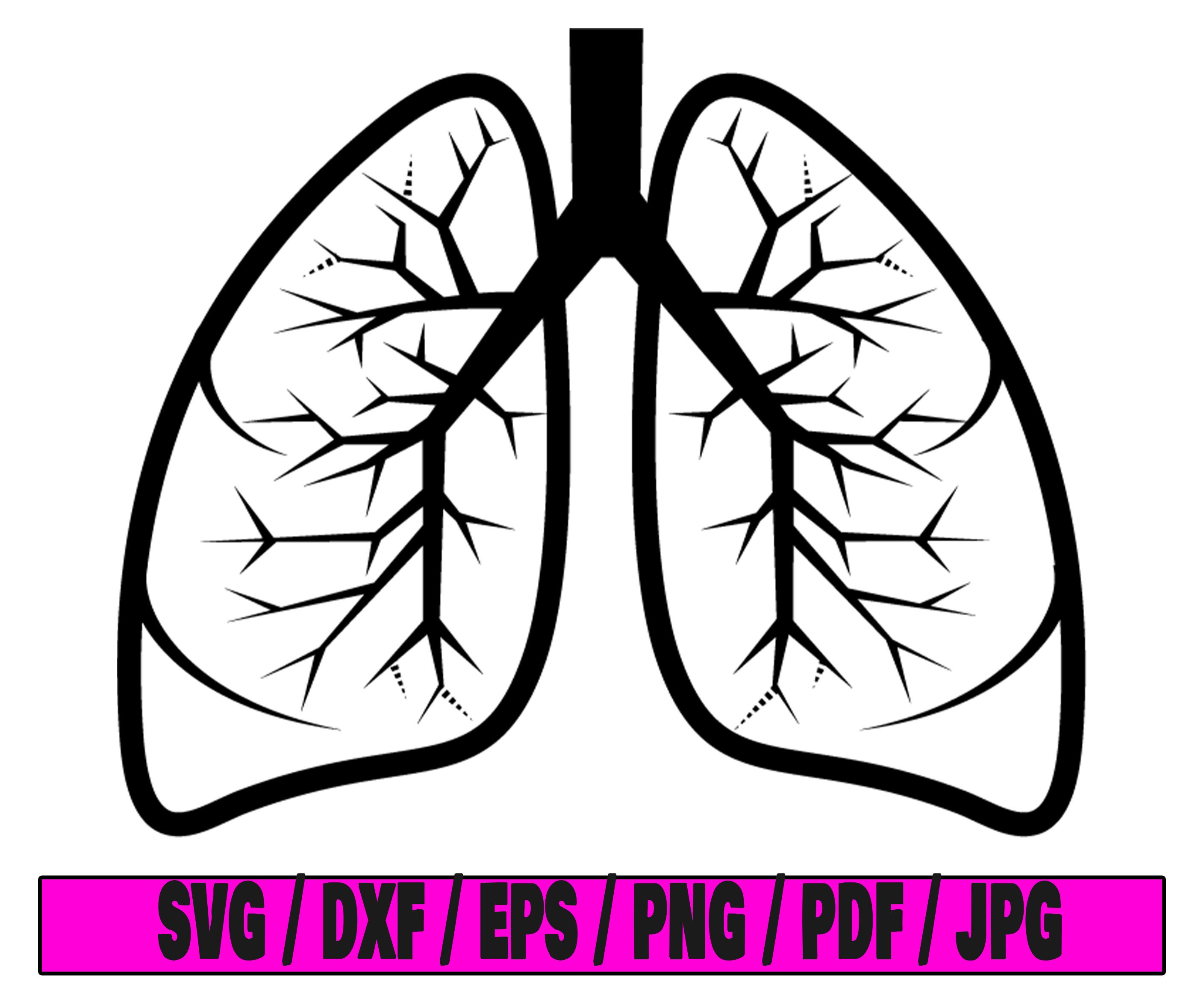 Lungs Svg, Organ Svg, Air Svg, Breathe Svg, Health Svg, Healthy Svg - Etsy