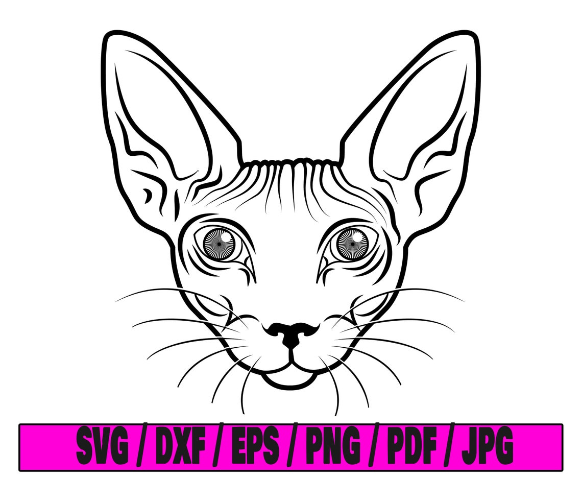 Sphynx Cat Svg , Cat Svg, Cat Head Svg, Animal Svg, Cat Outline Svg ...