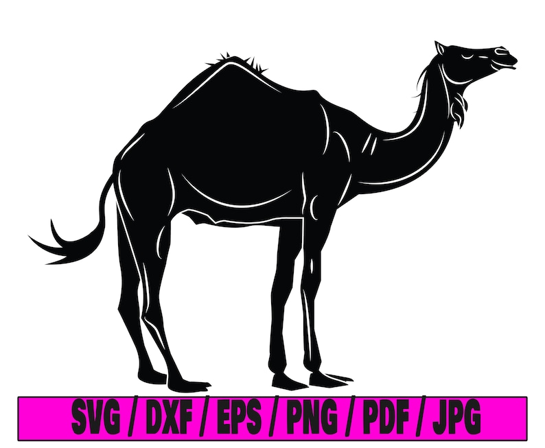 Camel Svg Camel Silhouette Svg Silhouette Svg Animal Svg - Etsy