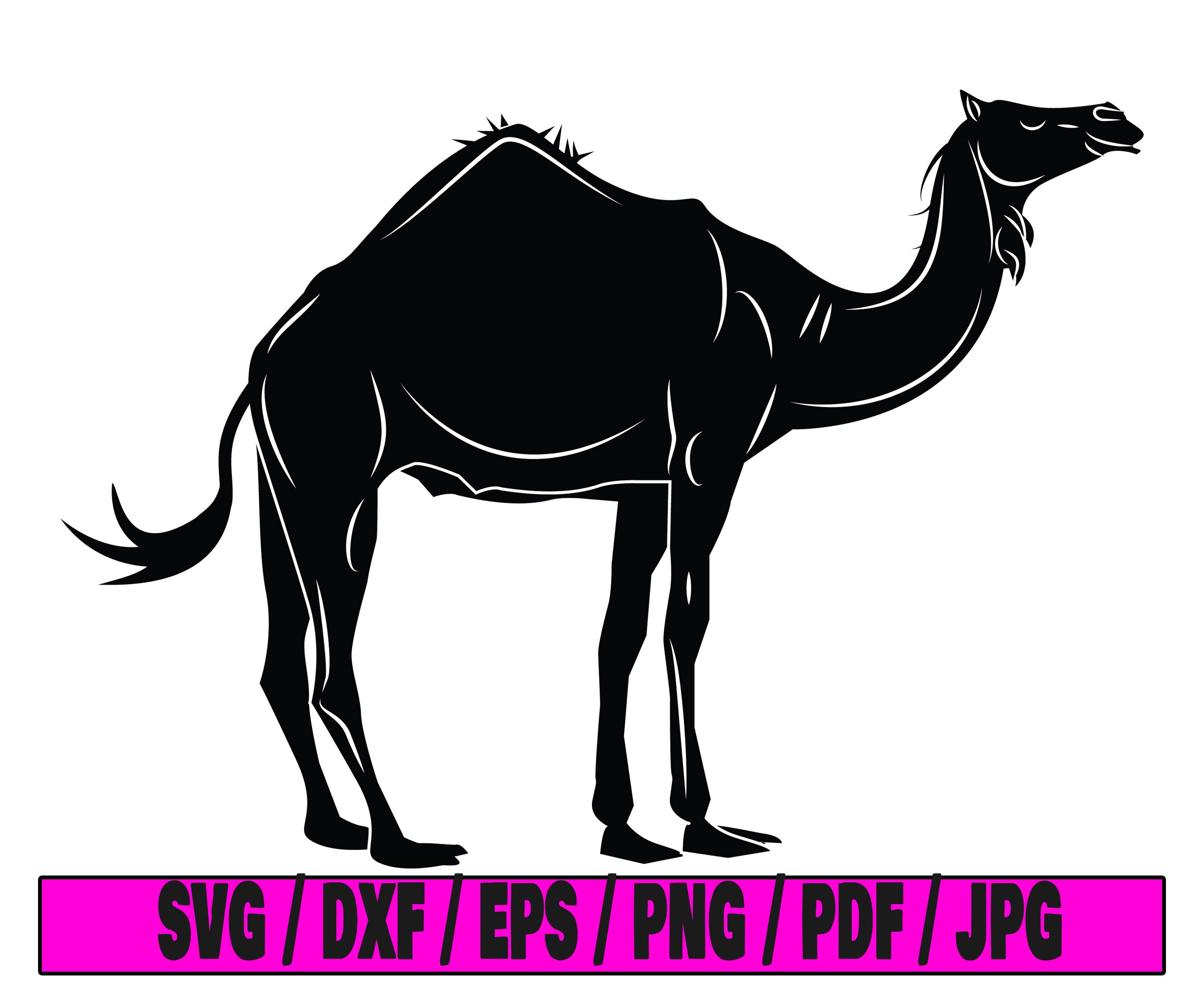 Camel Svg, Camel Silhouette Svg, Silhouette Svg, Animal Svg, Animal ...