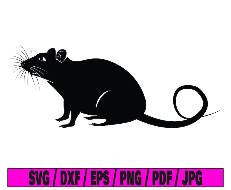 Rat Svg, Mouse Svg, Rat Silhouette Svg, Animal Svg, Mouse Silhouette ...