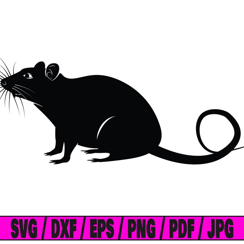 Mouse Rat Svg - Etsy