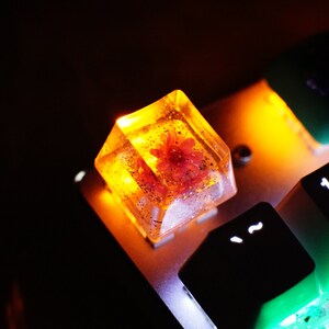 Transparent Keycap Pink Floral Key Cap Esc, Silver Flower Keyboard Caps ...