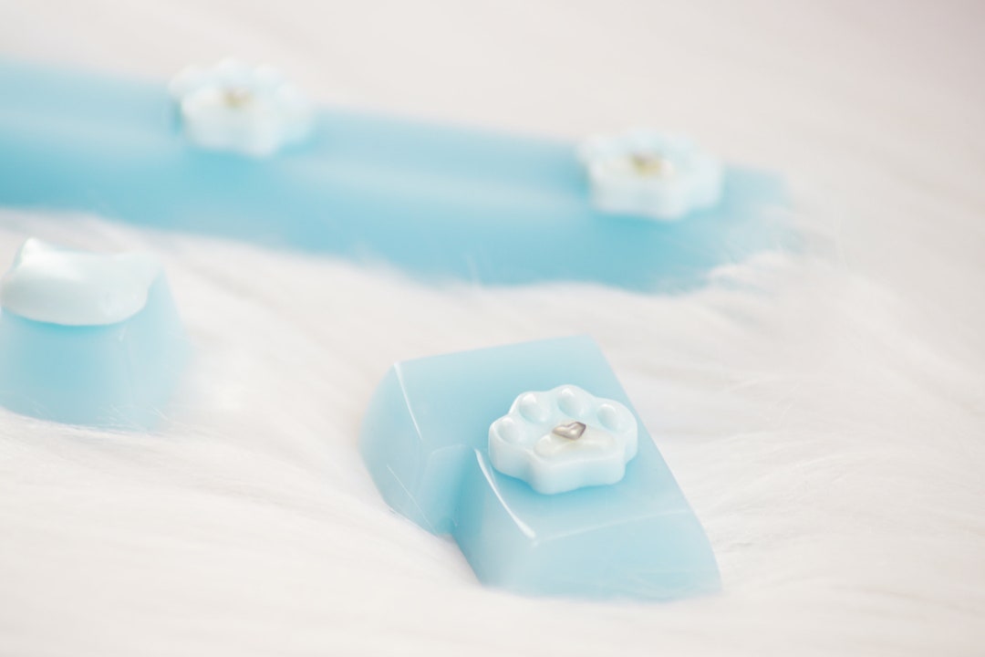 Spacebar ISO Enter Keycap Cat Paw Keycaps Keycap Set Resin - Etsy