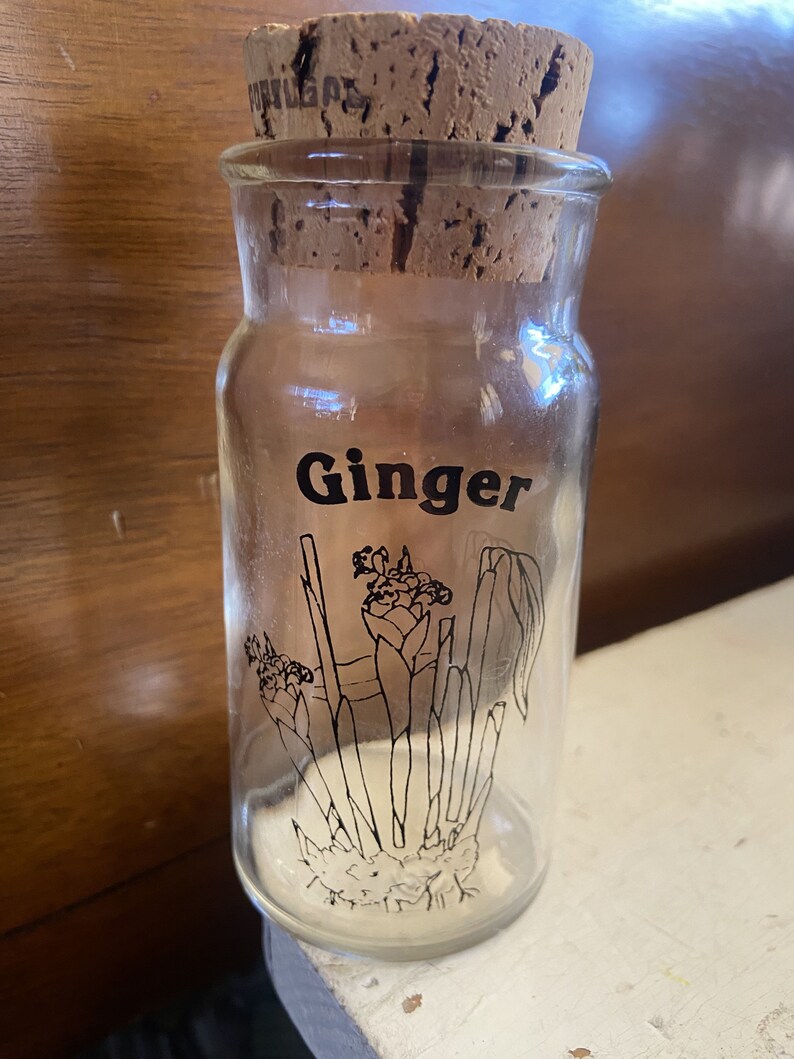 Vintage Wheaton Glass Spice Jars With Name and Botanical Illustration ...