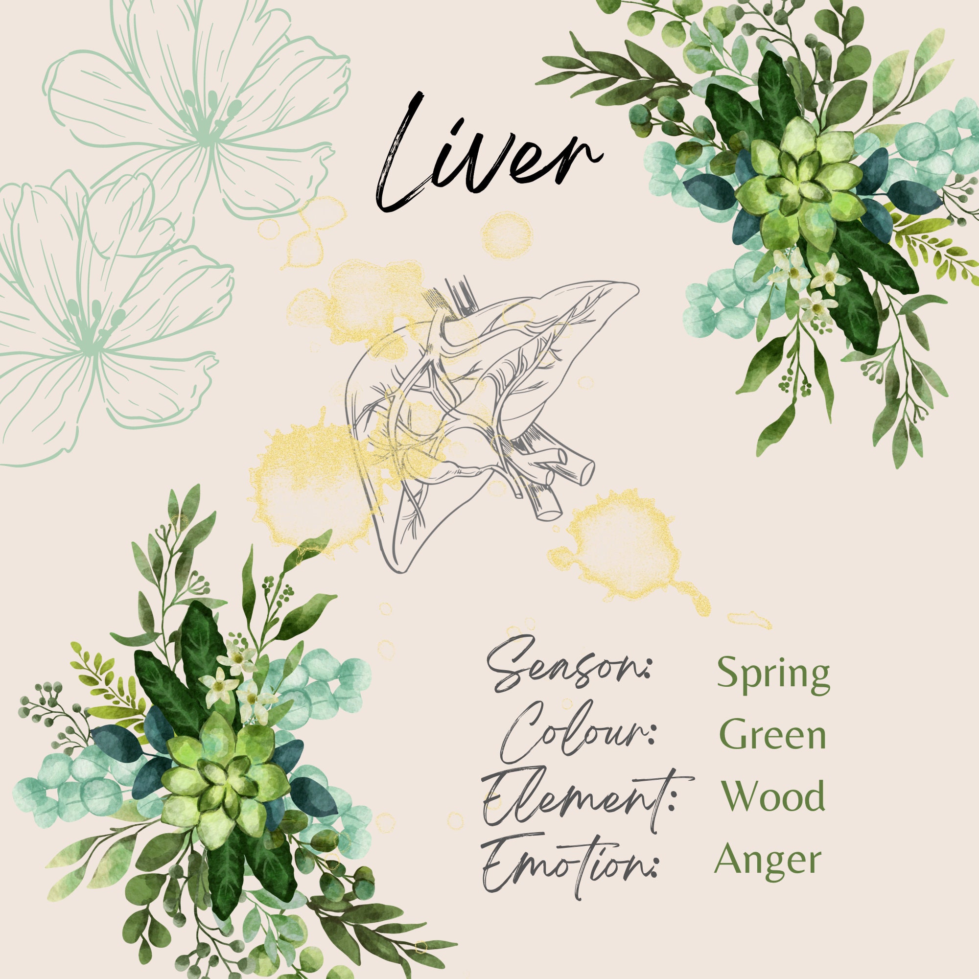Liver Chinese Medical Art 5 Elements - Etsy