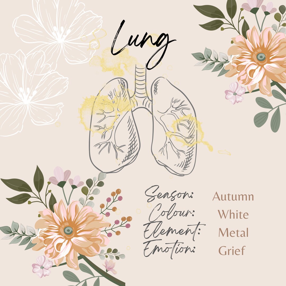 Lung Chinese Medical Art 5 Elements - Etsy