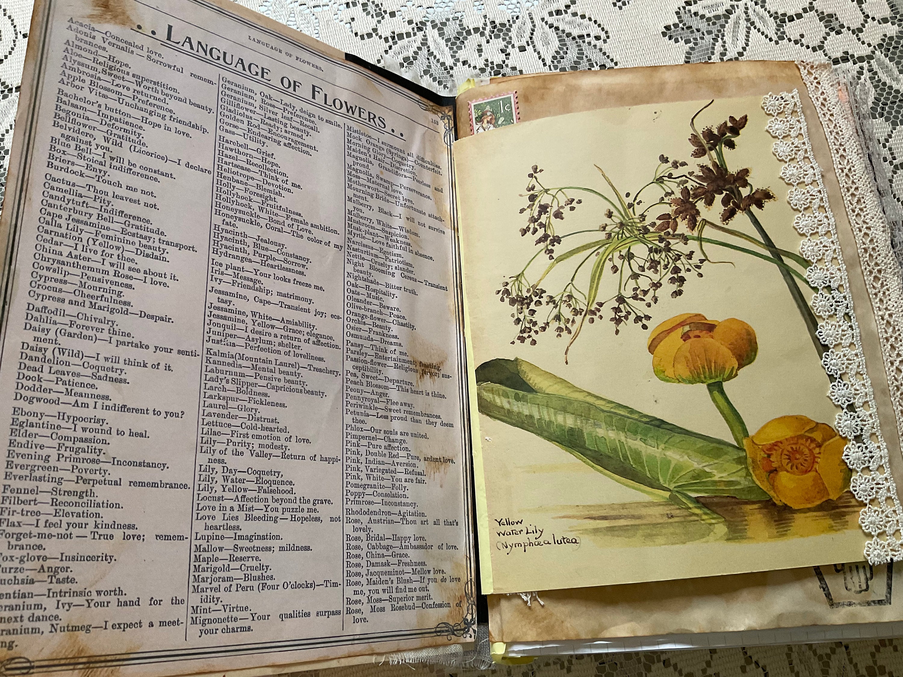 The Language of Flowers Altered Book. - Etsy