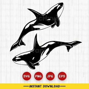 Killer Whale SVG | Orca Cut File for Laser, Svg File, Wall Decor, Svg ...