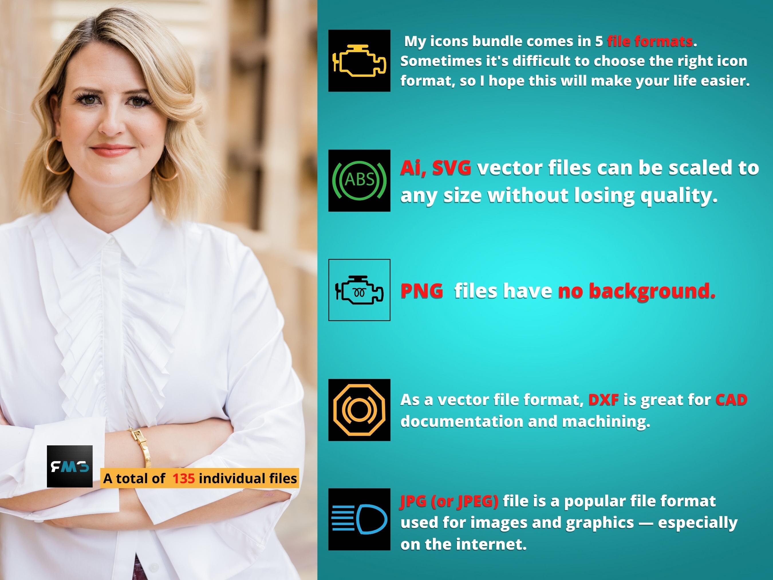 27 Car Red Warning Dashboard Icons Bundle - Brakes, Airbag, Check Engin ...