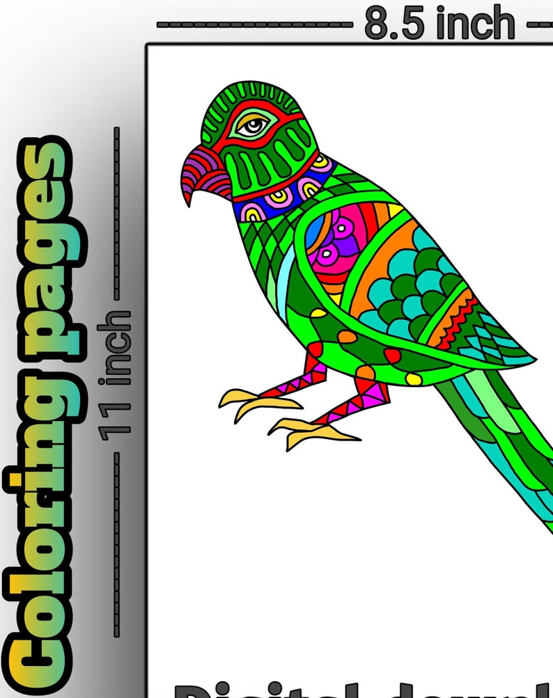 Parrot Bird Pdf Coloring Page for Kids, Colored and Colorable Digital ...