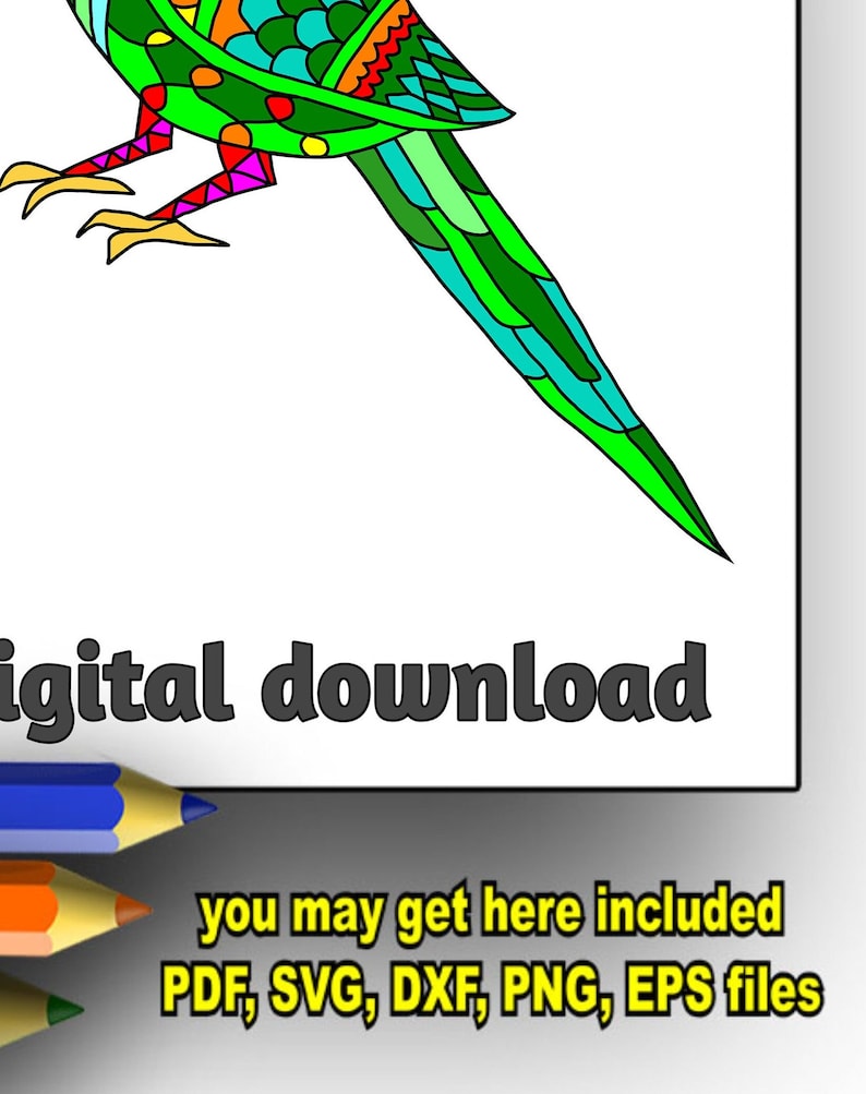 Parrot Bird Pdf Coloring Page for Kids, Colored and Colorable Digital ...
