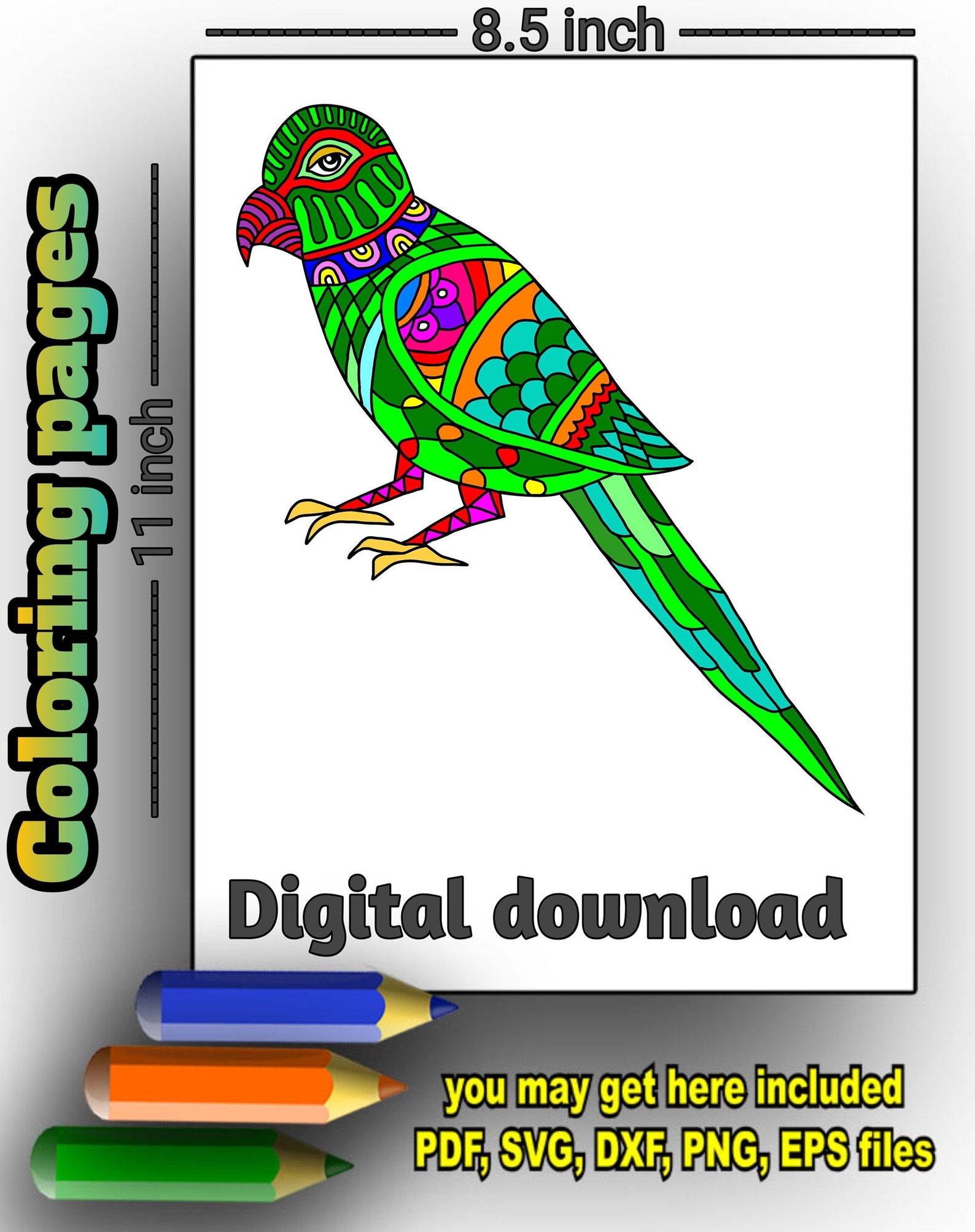 Parrot Bird Pdf Coloring Page for Kids, Colored and Colorable Digital ...