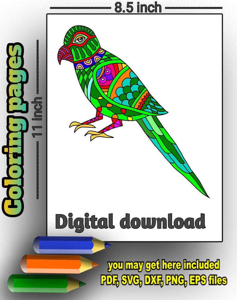 Parrot Bird Pdf Coloring Page for Kids, Colored and Colorable Digital ...