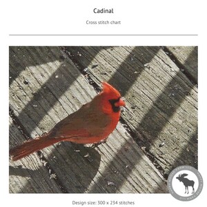 Cardinal Cross-stitch Pattern - Etsy