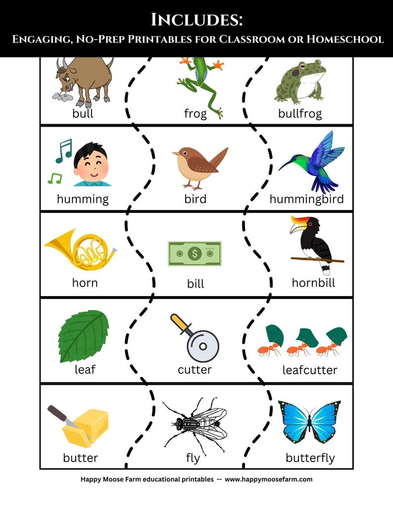 Rainforest Compound Words Worksheet: K-2 Literacy Puzzles (digital ...