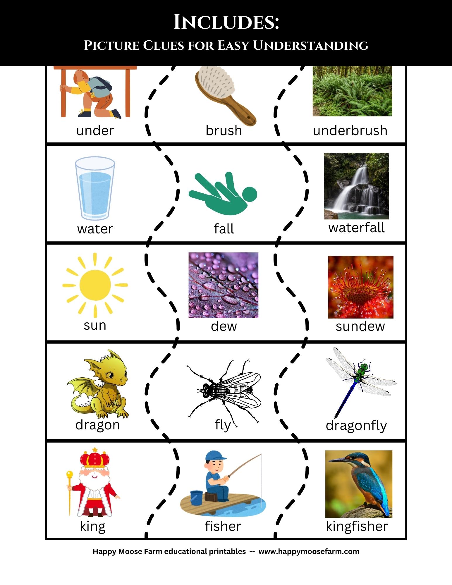 Rainforest Compound Words Worksheet: K-2 Literacy Puzzles (digital ...