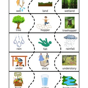 Rainforest Compound Words Worksheet: K-2 Literacy Puzzles (digital ...