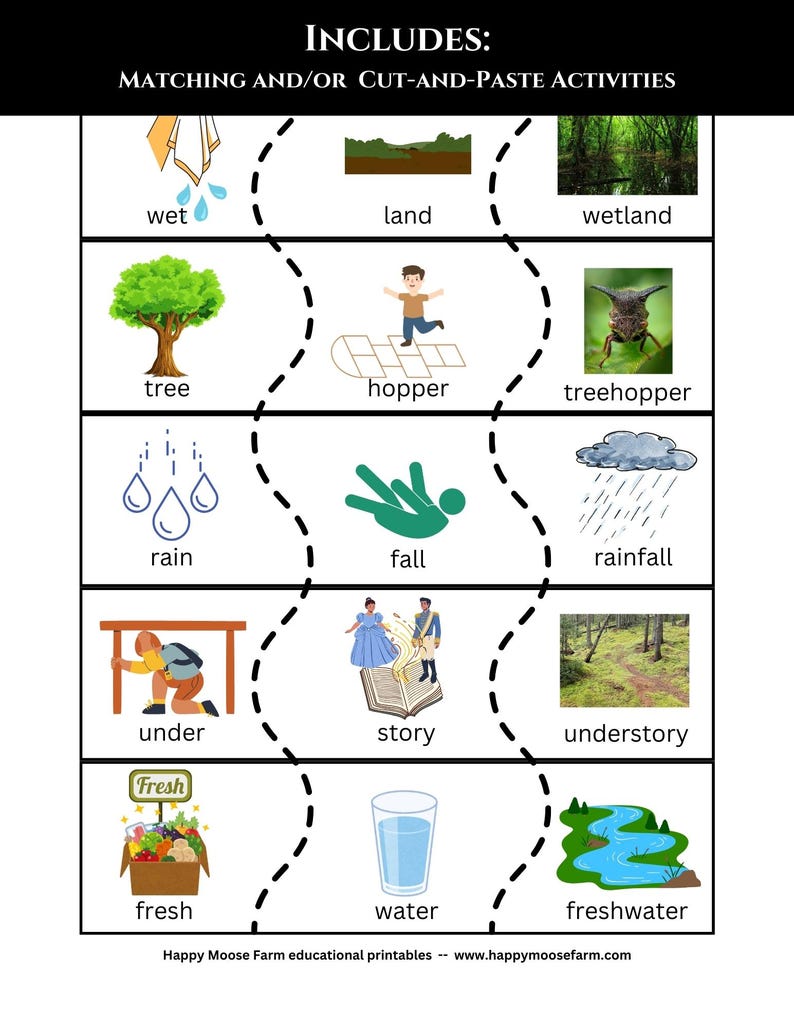 Rainforest Compound Words Worksheet: K-2 Literacy Puzzles (digital ...