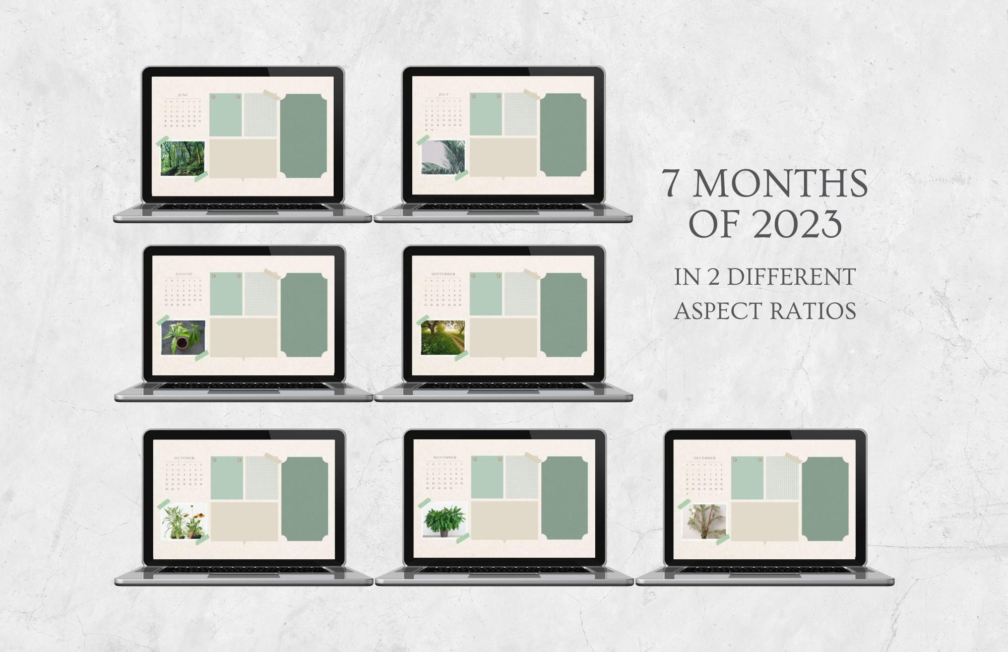 Going Green Desktop Organization Wallpaper | Pack of 57 | 2023 & 2024 ...