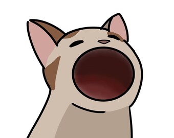 Cat Meme Sticker | Etsy