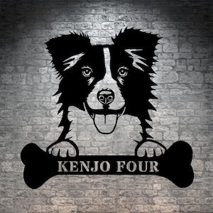 Personalized Border Collie Name Metal Sign. Customizable Dog Owner Wall ...