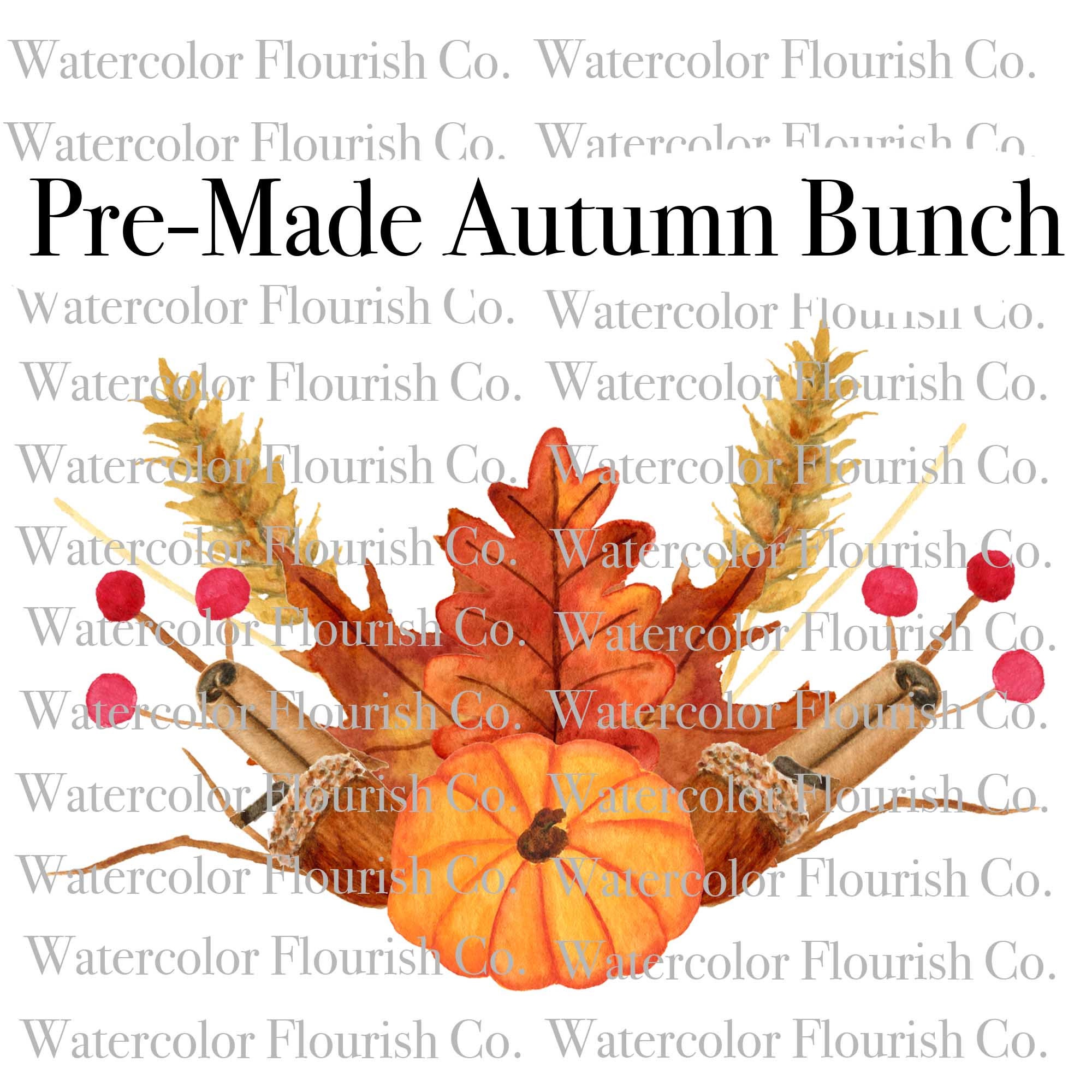 Watercolor Autumn Variety Pack Clip Art PNG Files, Watercolor Pumpkins ...