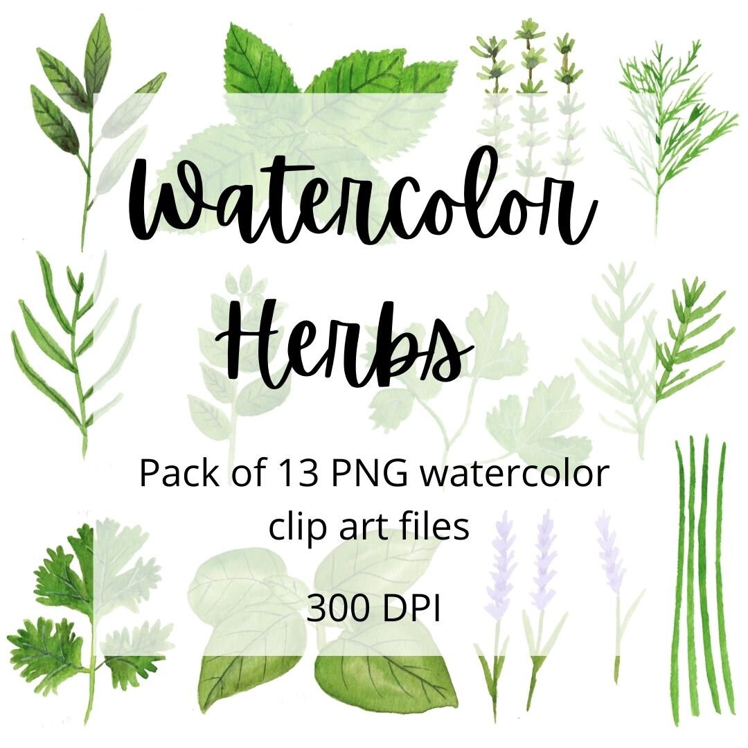 Watercolor PNG Herbs Clip Art Set, Watercolor Herbs PNG Files, Personal ...