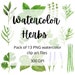 Watercolor PNG Herbs Clip Art Set, Watercolor Herbs PNG Files, Personal ...
