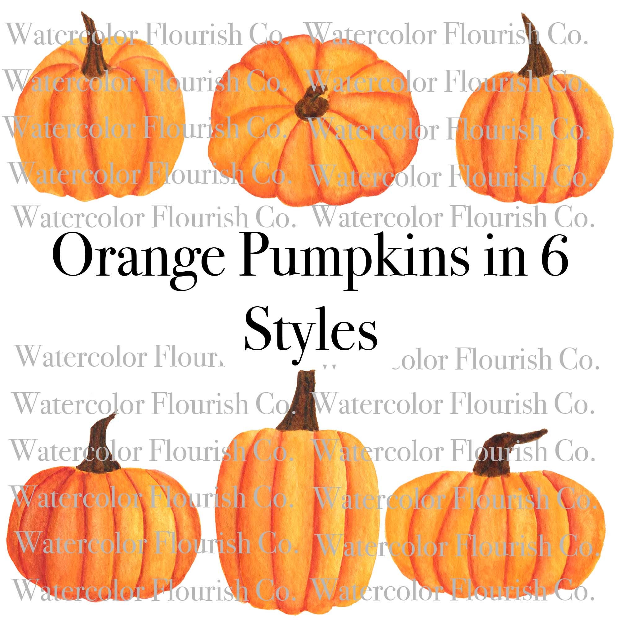 Watercolor Autumn Variety Pack Clip Art PNG Files, Watercolor Pumpkins ...