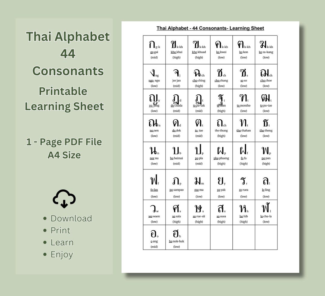 Thai Alphabet Chart | 44 Thai Consonants Learning Sheet | A4 Letter ...