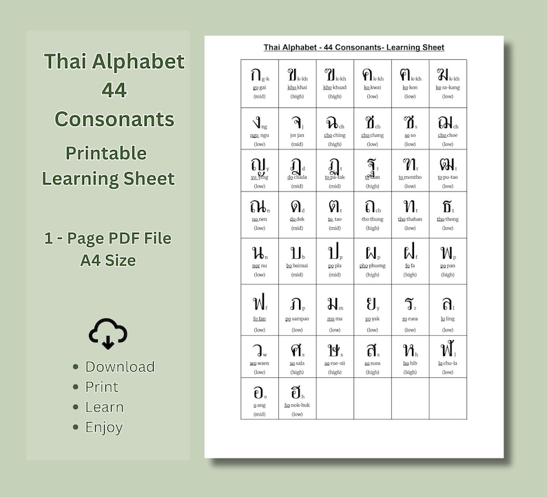 Thai Alphabet Chart | 44 Thai Consonants Learning Sheet | A4 Letter ...