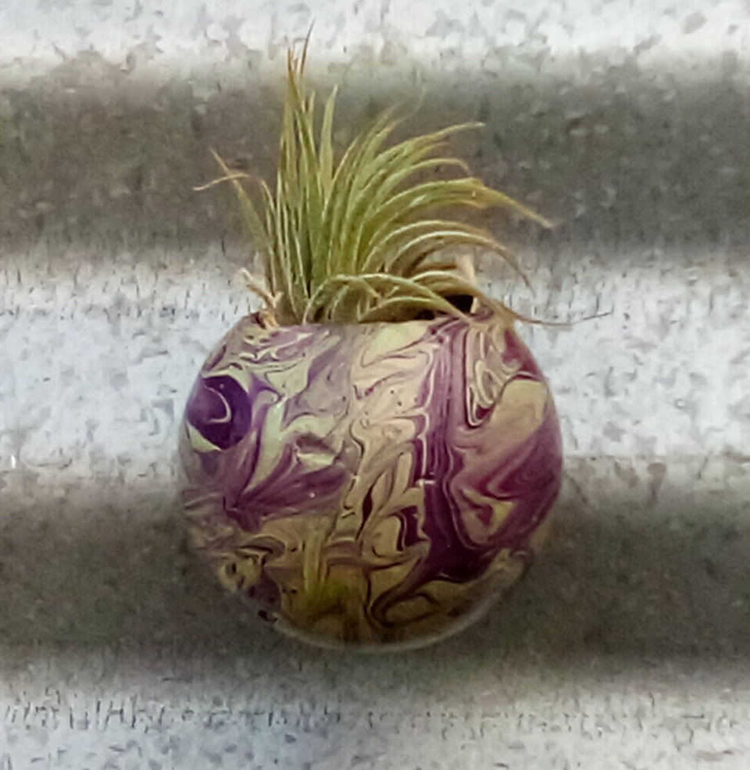 Air Plant Magnet Pot - Etsy