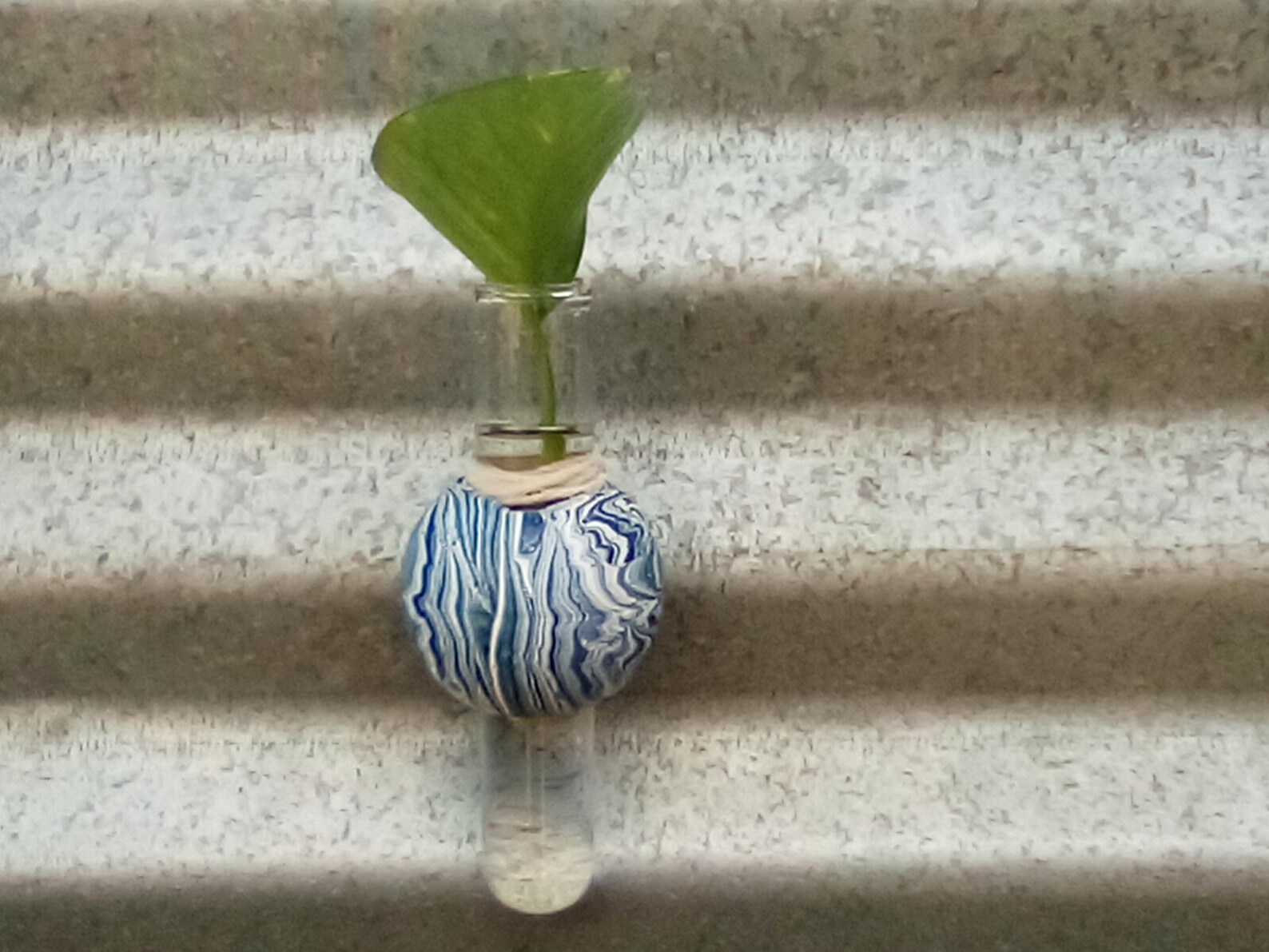 Plant Propagator Magnet - Etsy