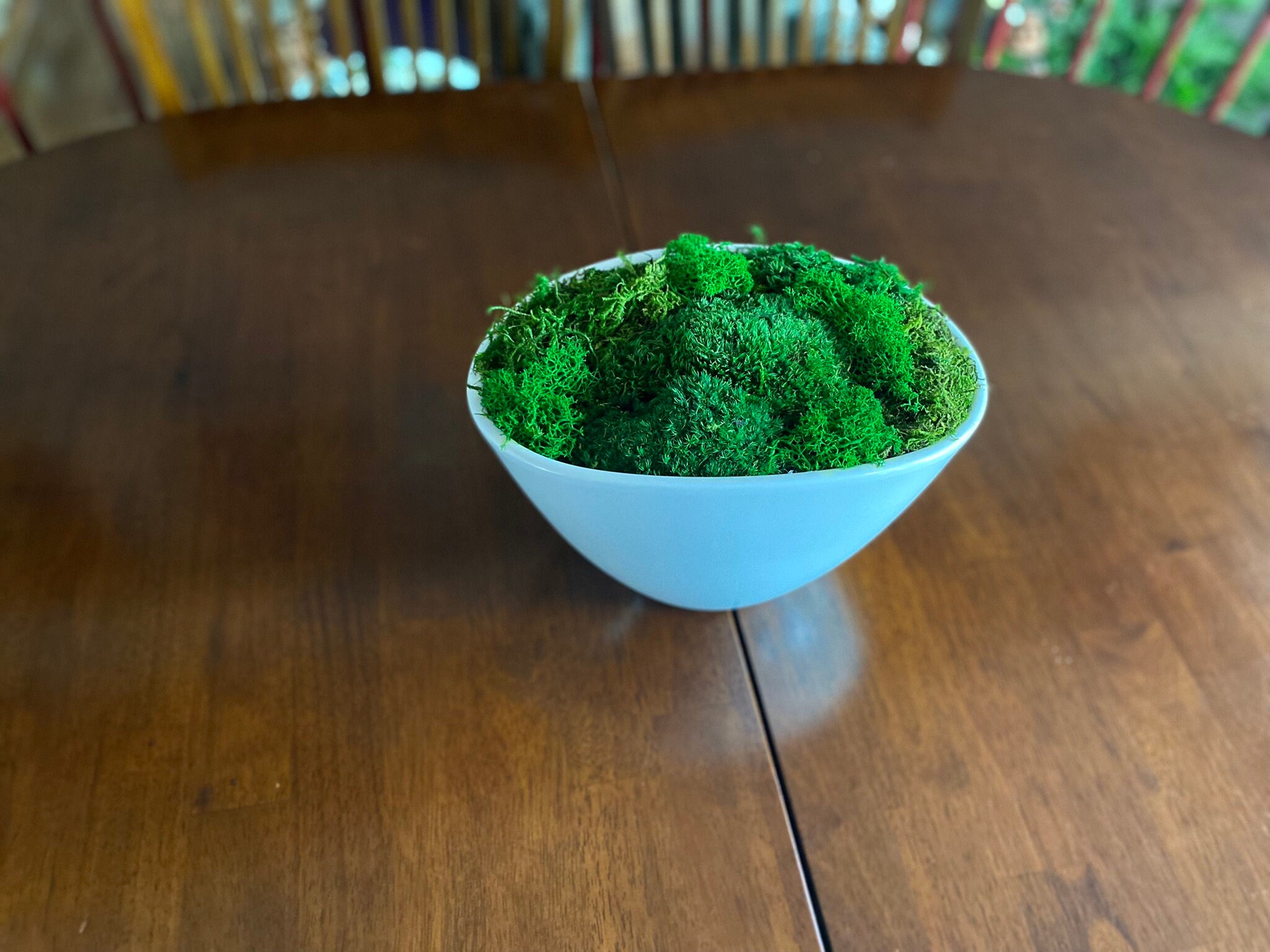 Beautiful Preserved Oval Moss Table Centerpiece for Home Decoration - Etsy
