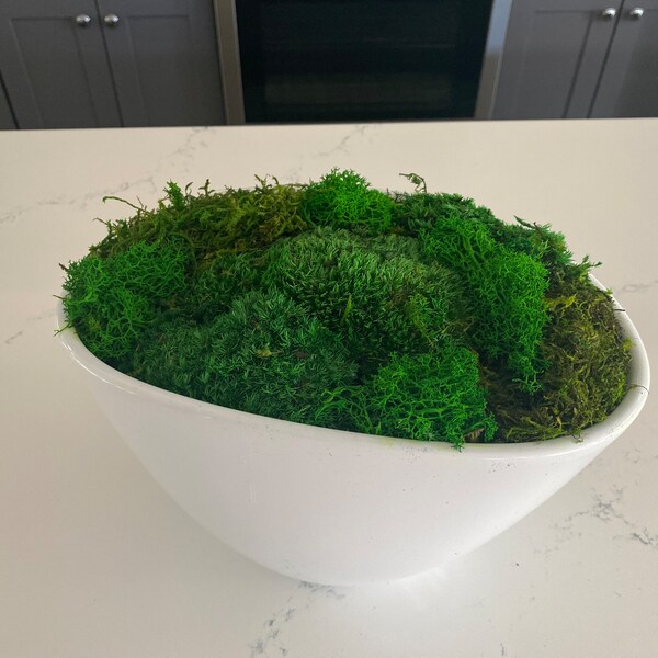 Moss Centerpiece - Etsy