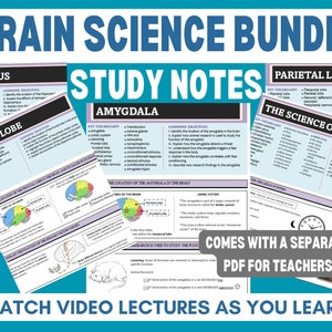 Brain Science Bundle - Watch and Learn With Guided Notes - Etsy