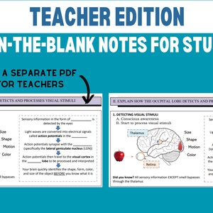 Brain Science Bundle - Watch and Learn With Guided Notes - Etsy