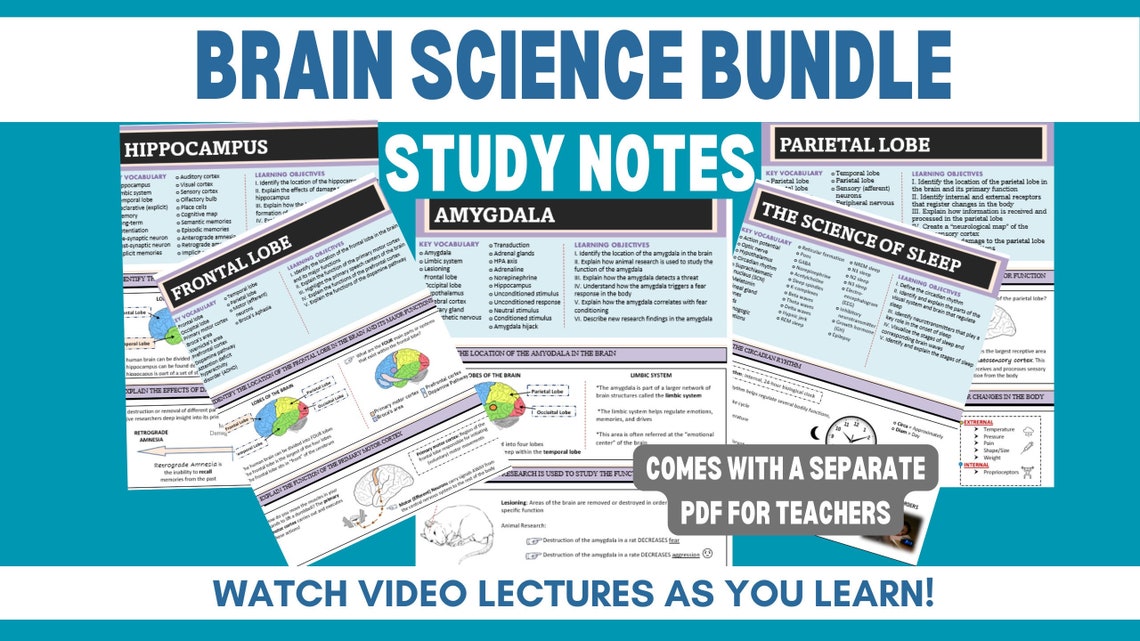 Brain Science Bundle - Watch and Learn With Guided Notes - Etsy