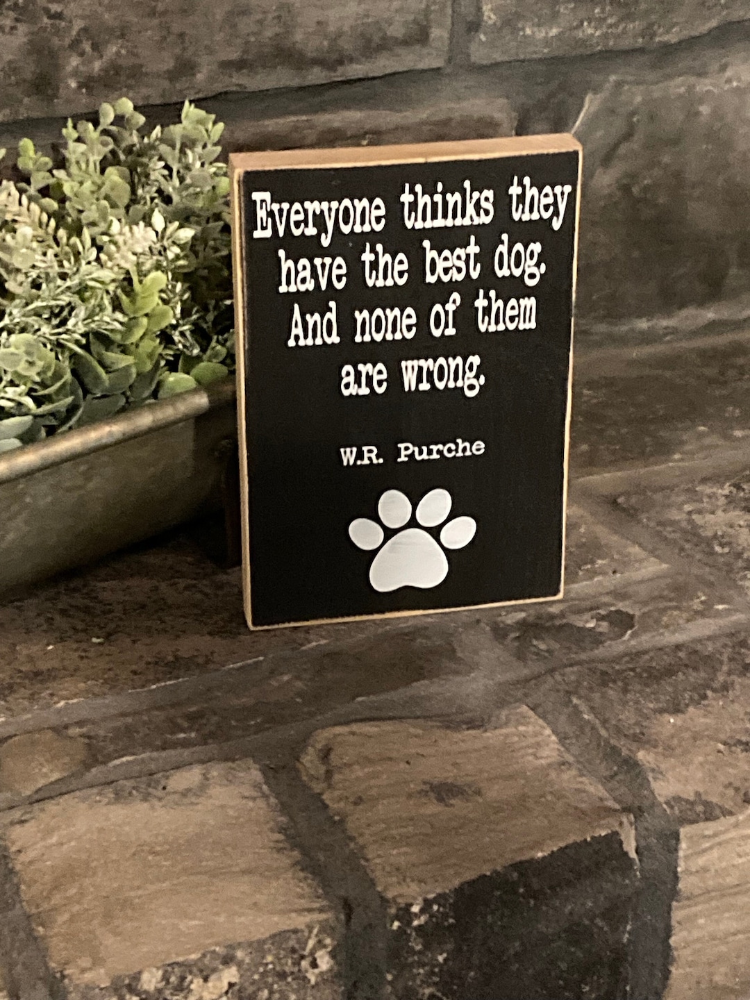 Everyone Thinks They Have the Best Dog. and None of Them Are Wrong ...