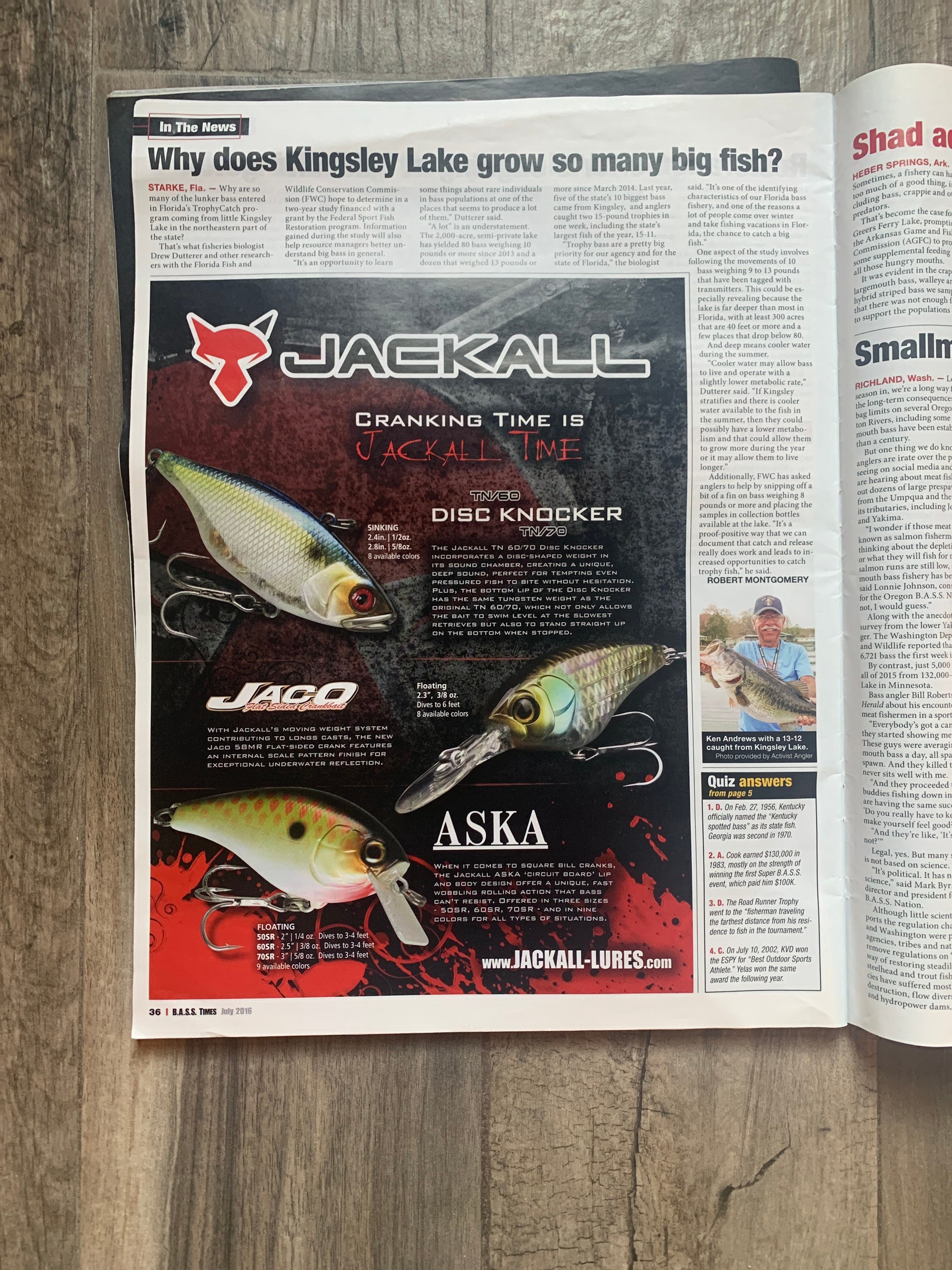 Bass Times 2016 - Etsy