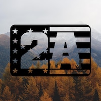 2nd Amendment - Etsy