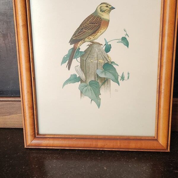 John Robshaw - Etsy