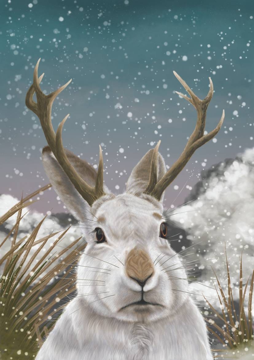 Jackalope Fine Art Print on archival matt paper American | Etsy