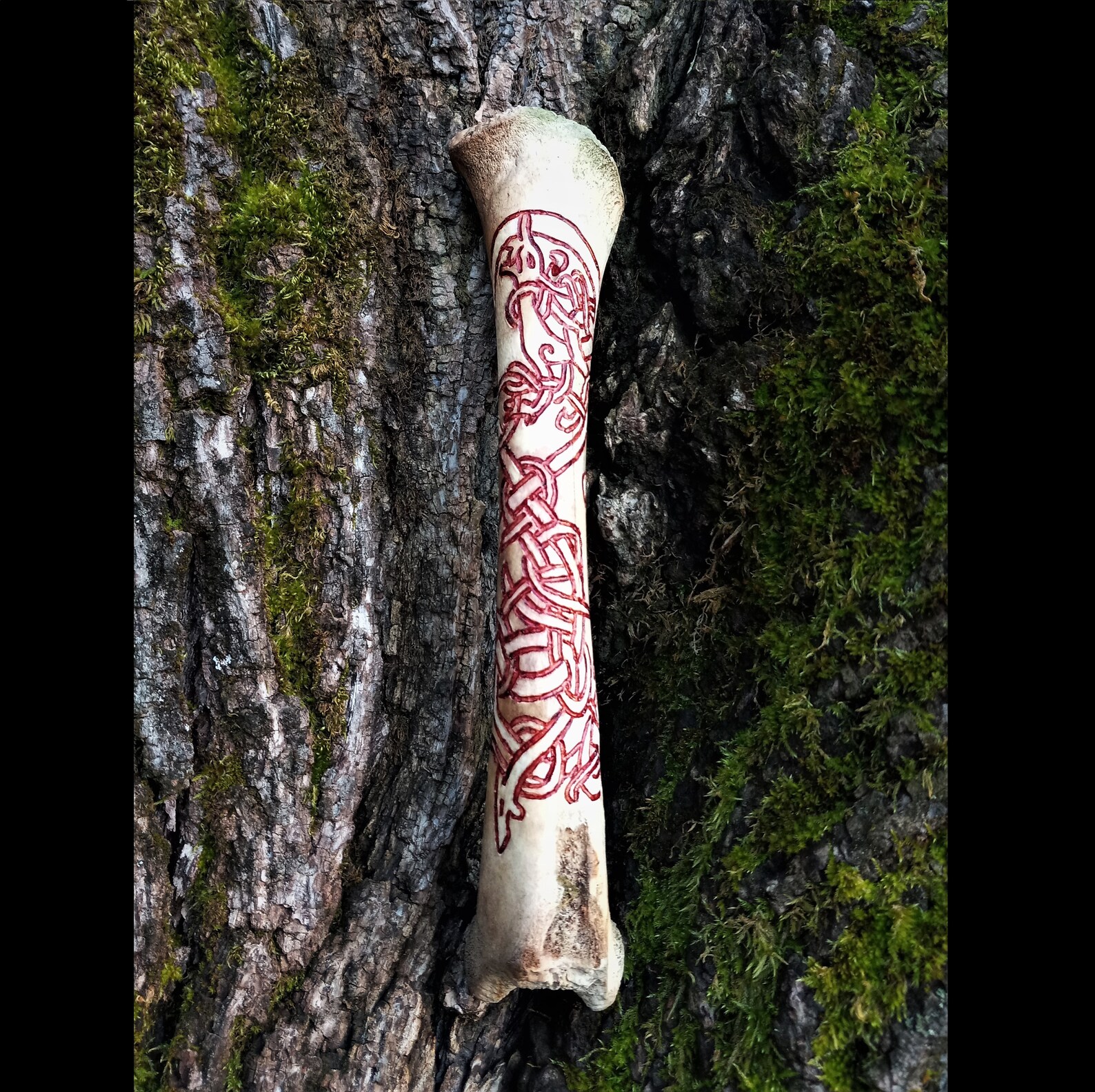Norse Knotwork Serpent Bone Carving - Handcrafted Viking Art - Etsy