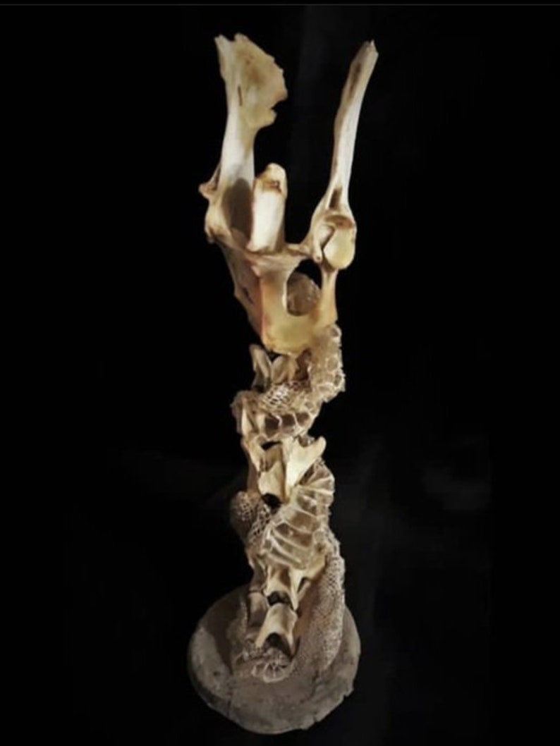 Sacred Shiva Trident Sculpture - Bone and Snake Skin Art - Etsy