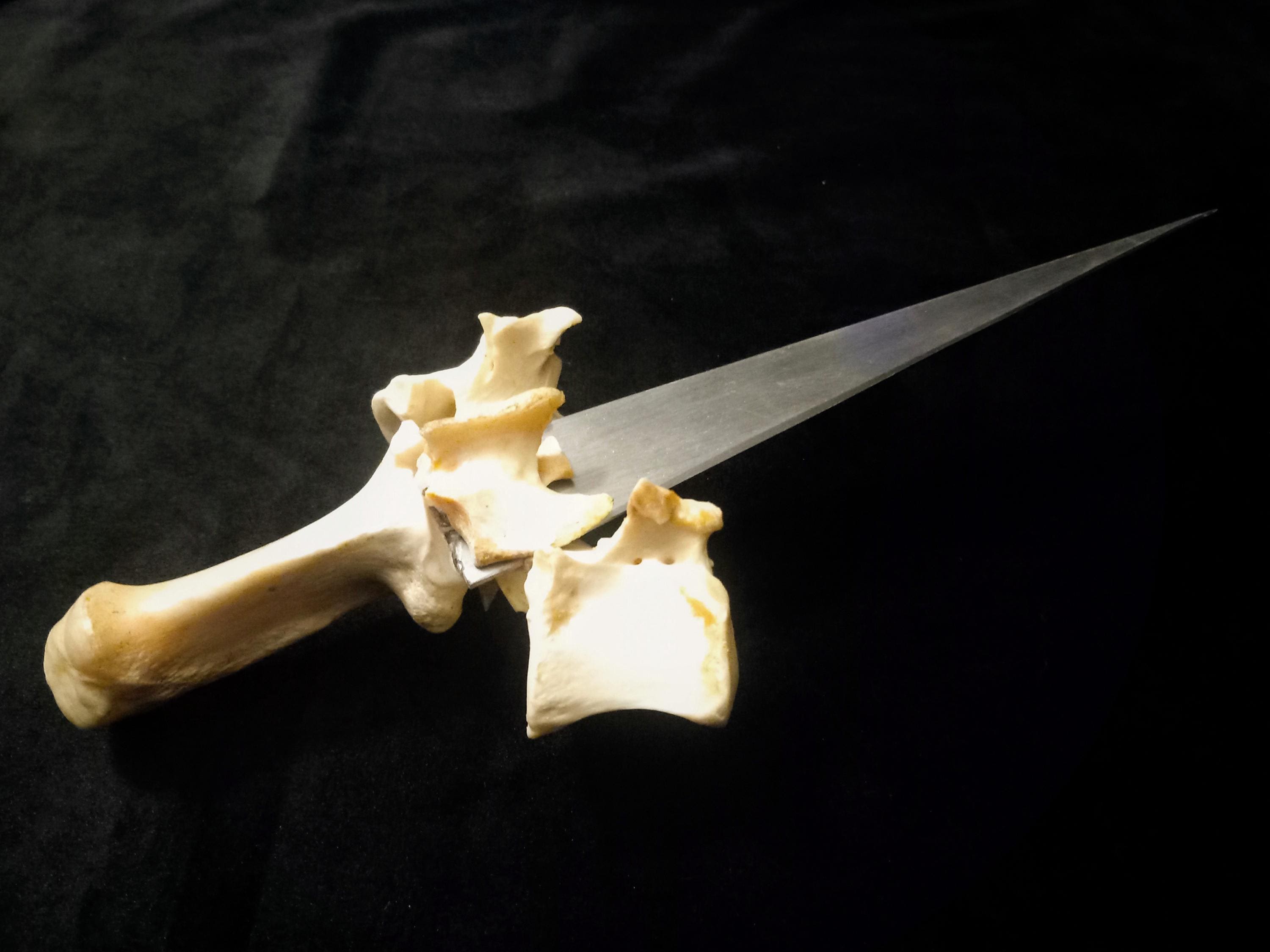 Ceremonial Dagger With Bone Handle - Etsy